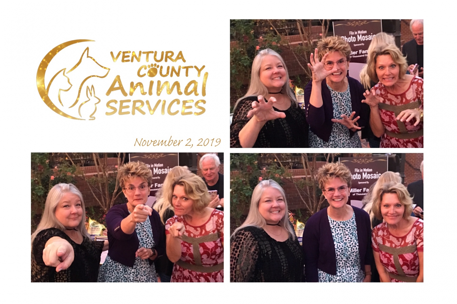 Ventura County Animal Shelter Gala | Mosaic Wall | North Ranch Country ...