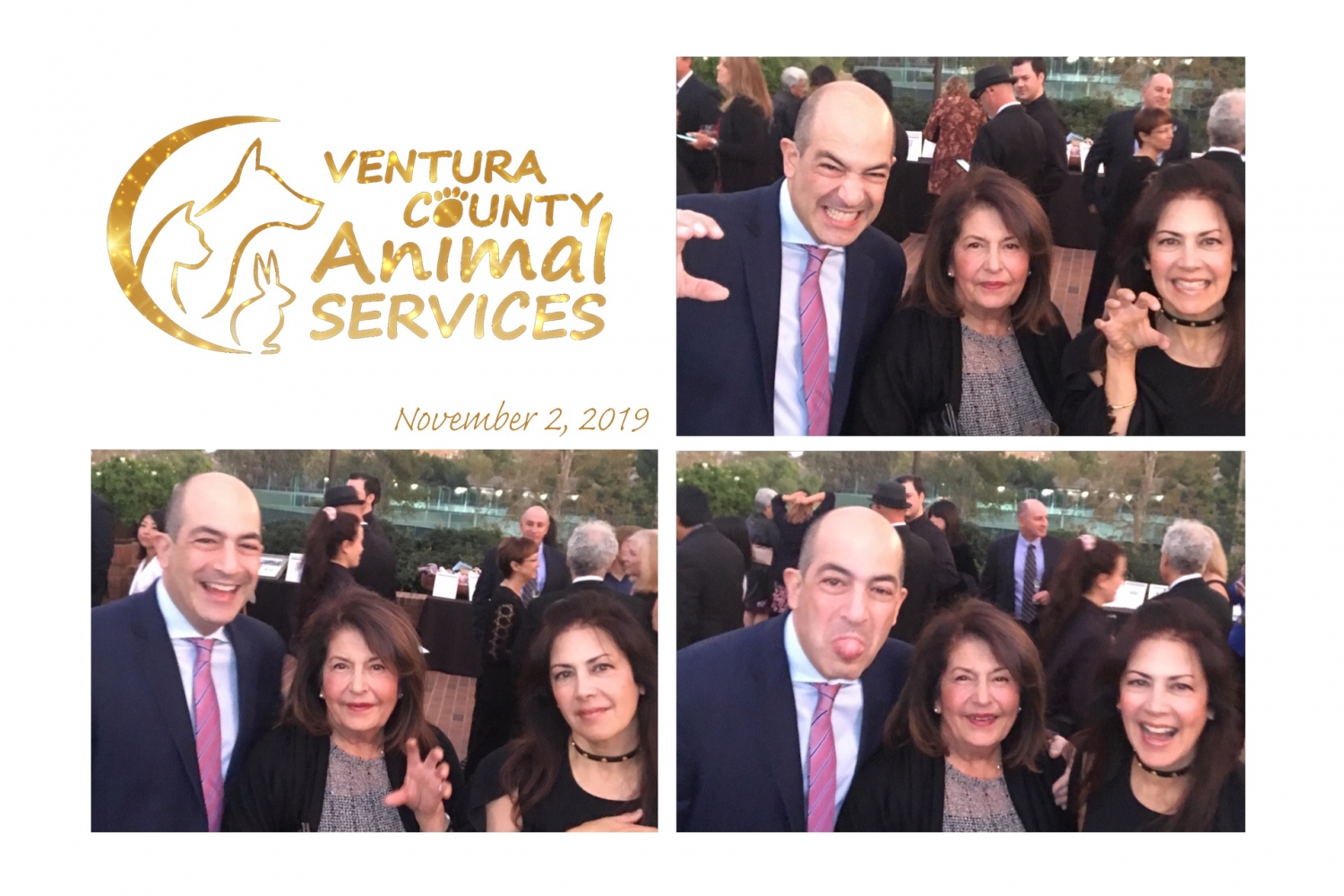 Ventura County Animal Shelter Gala | Mosaic Wall | Experiential Photo ...